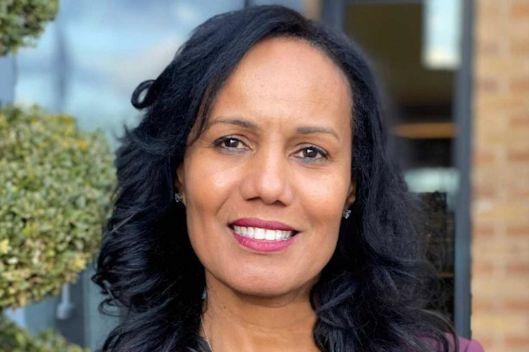 Trustees | Ideas Foundation