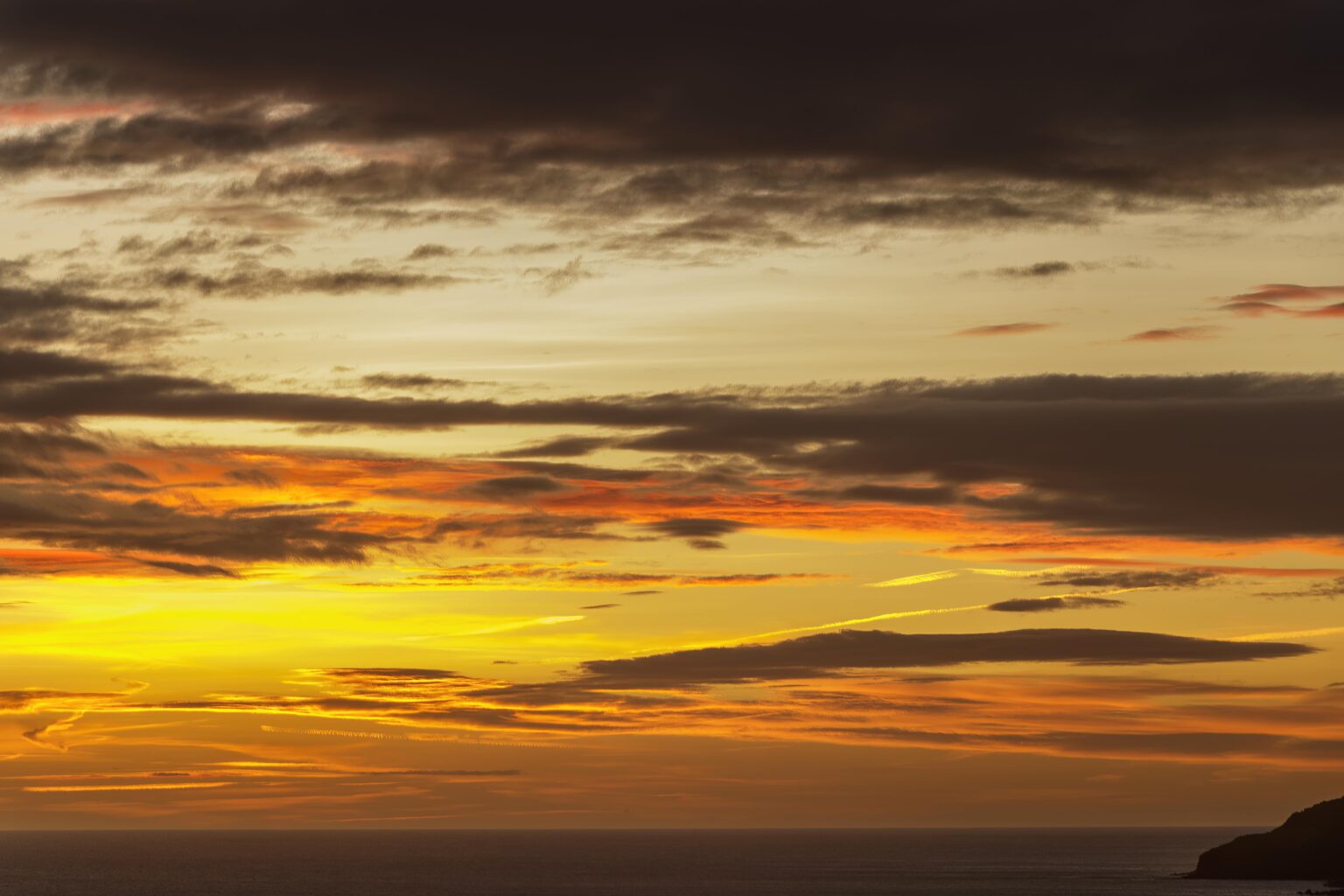 Belonging Makes Beautiful Sense | Ideas Foundation